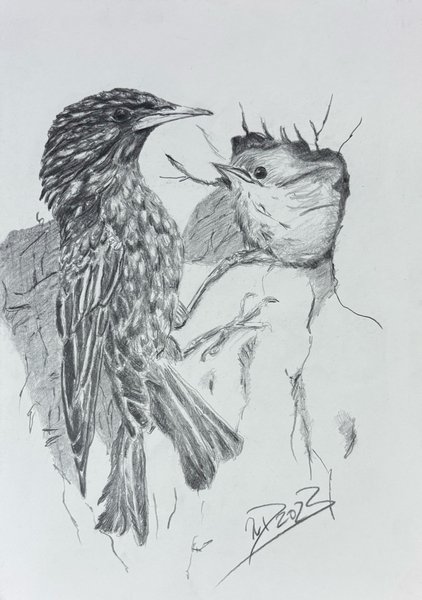 Ines Udelnow - Alexianer St. Hedwig Krankenhaus, Berlin