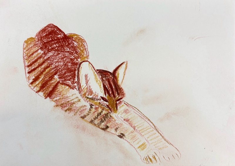 Ashoka Schönig - Alexianer St. Hedwig Krankenhaus, Berlin