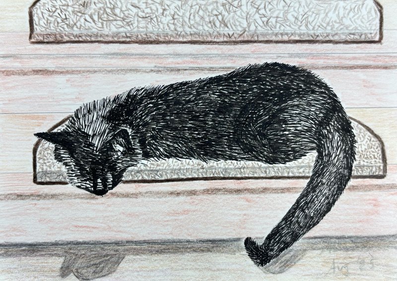 Ashoka Schönig - Alexianer St. Hedwig Krankenhaus, Berlin